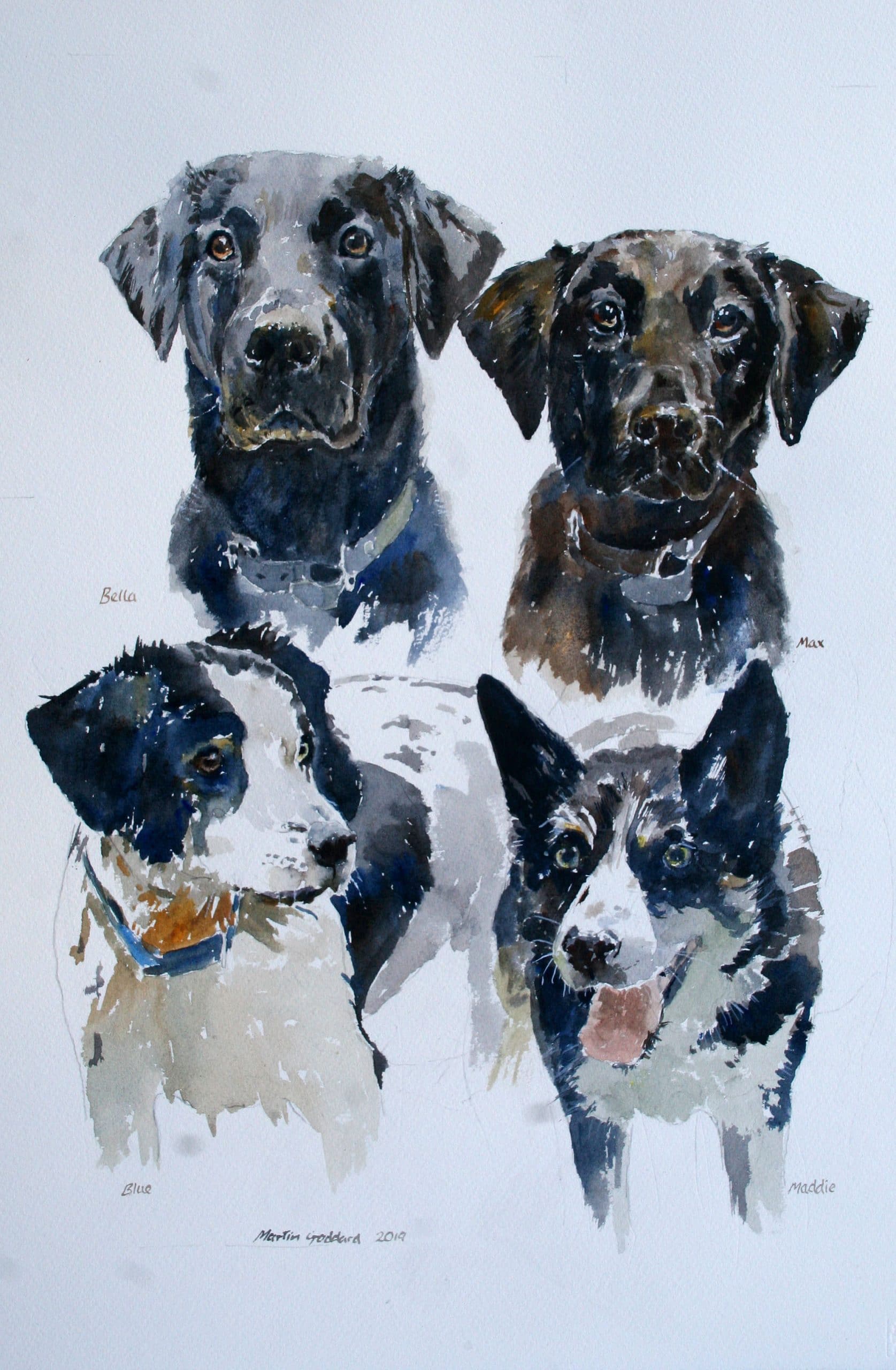 4 dogs – Martin Goddard Artist